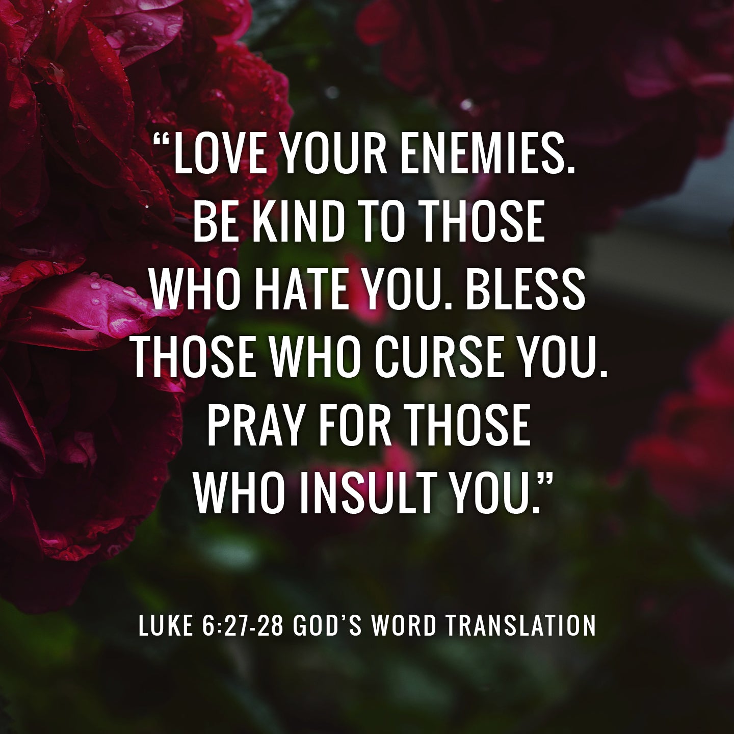 Compare Luke 6 27 30 Love Your Enemies Be Kind To Those Who Hate You Compare Luke 6 27 30 Love Your Enemies Be Kind To Those Who Hate You