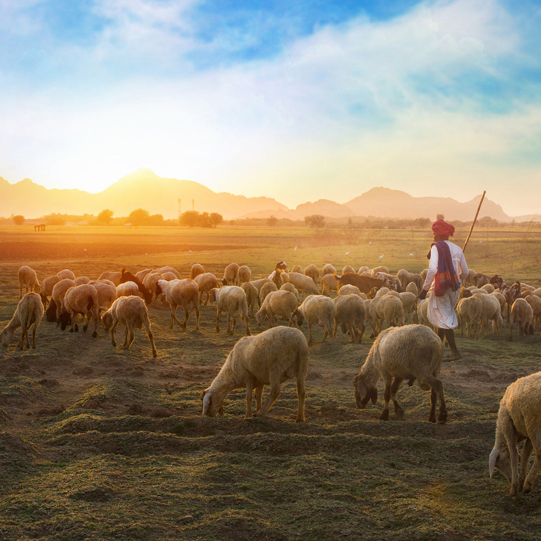 GOD’S WORD Translation | Count on the Lord for Everything – God’s Word ...