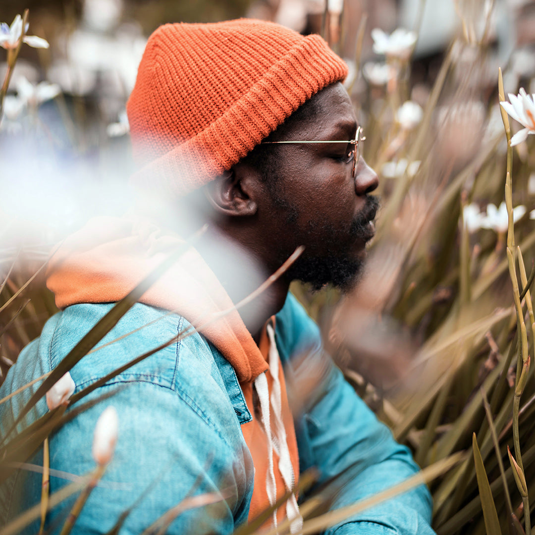 GOD’S WORD Translation | Grace Overcomes – God’s Word Mission Society